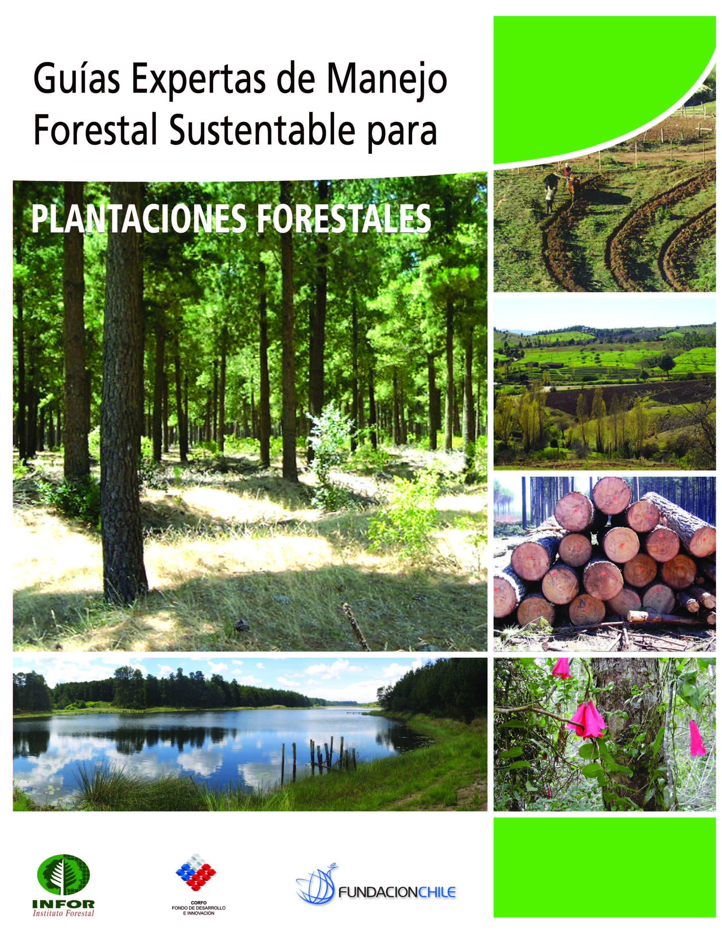 Guías expertas de manejo forestal sustentable para plantaciones forestales.
